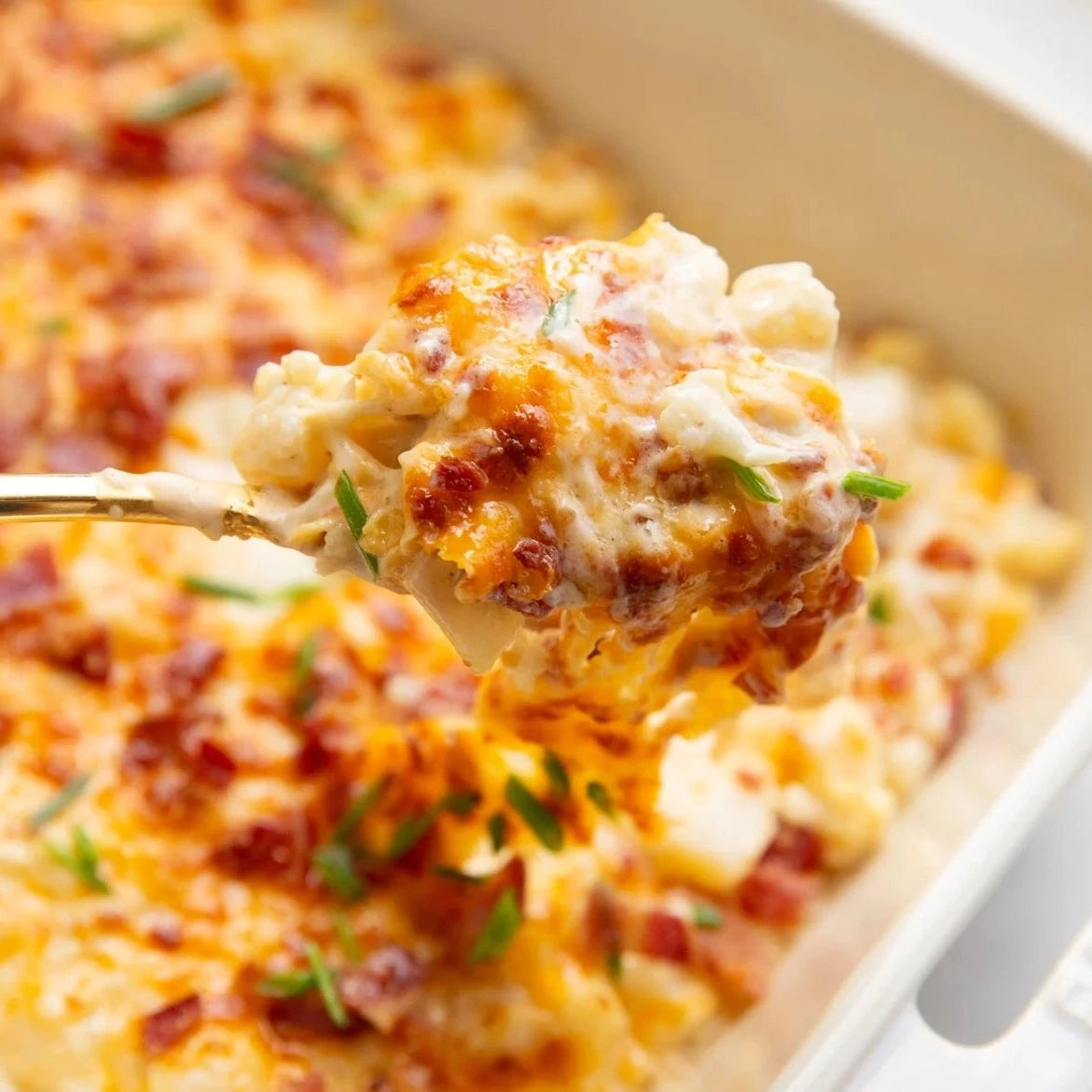 Arctic's Mac & cheese with porcini, bacon & truffle oil with a rosemar ...